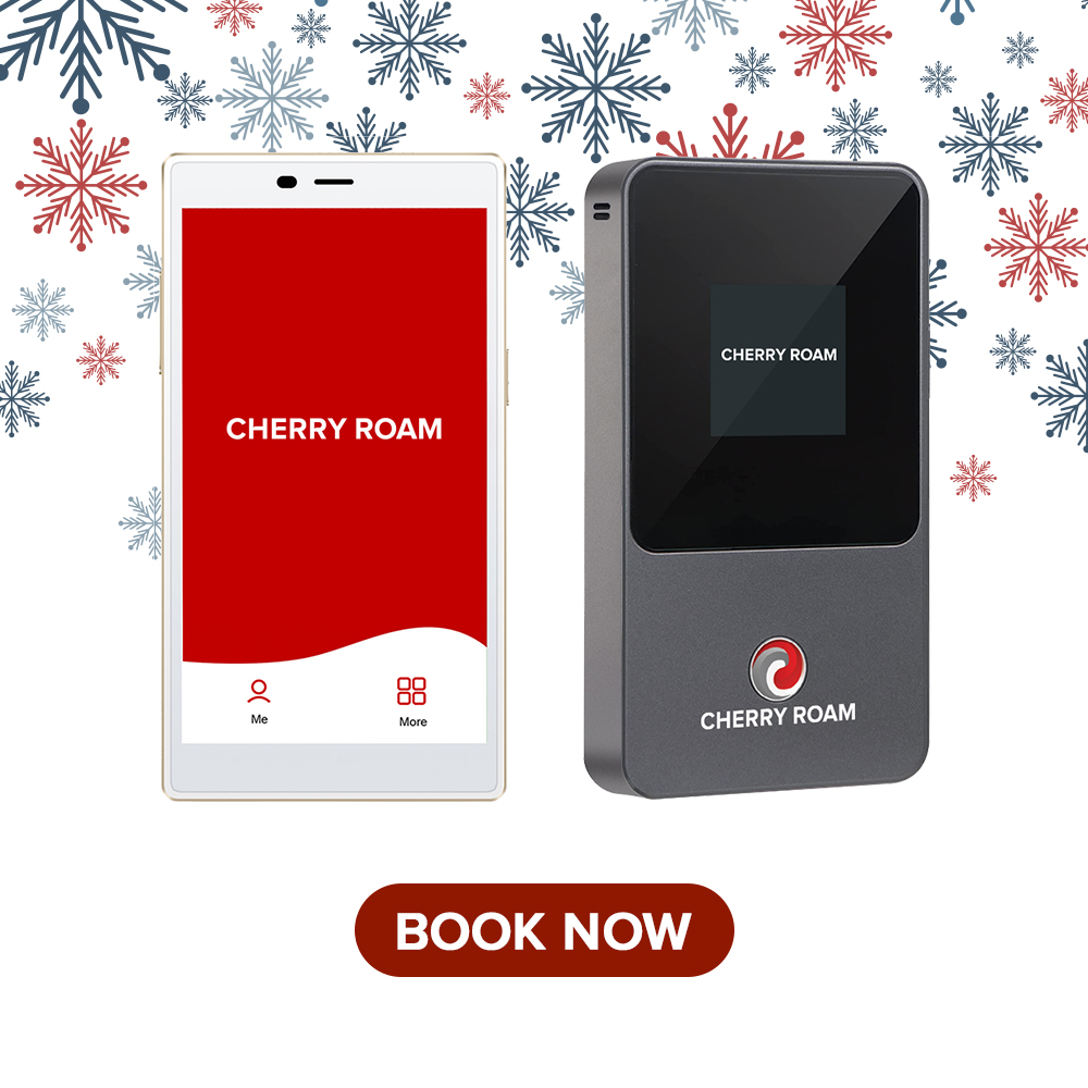 Rental (4G) – Single Destination – Cherry Roam